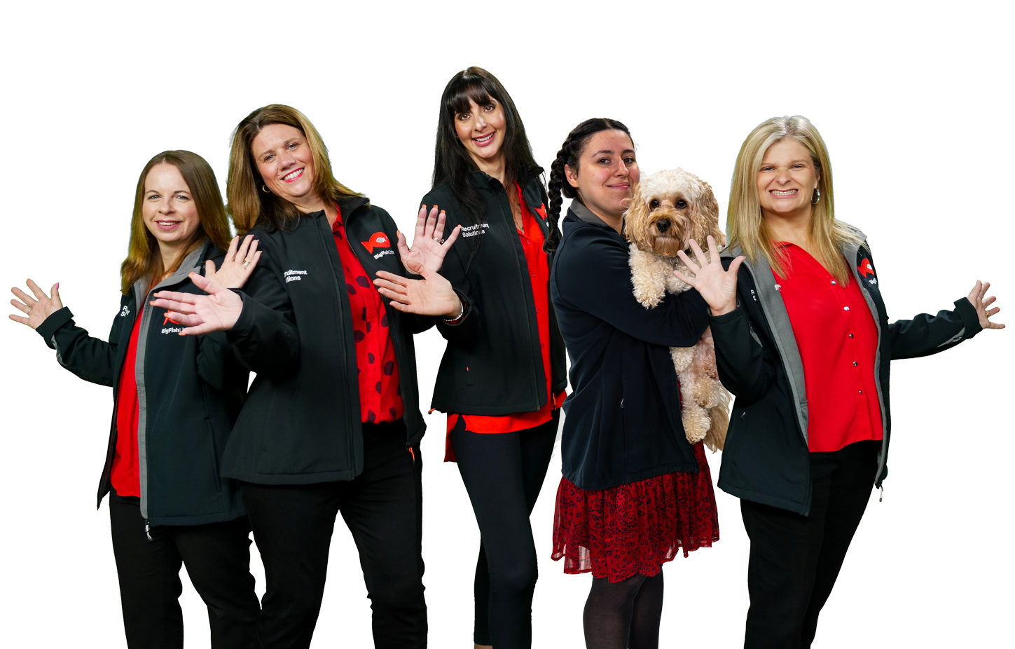 No.1 Recruitment Agency Sheffield | Big Fish Little Fish